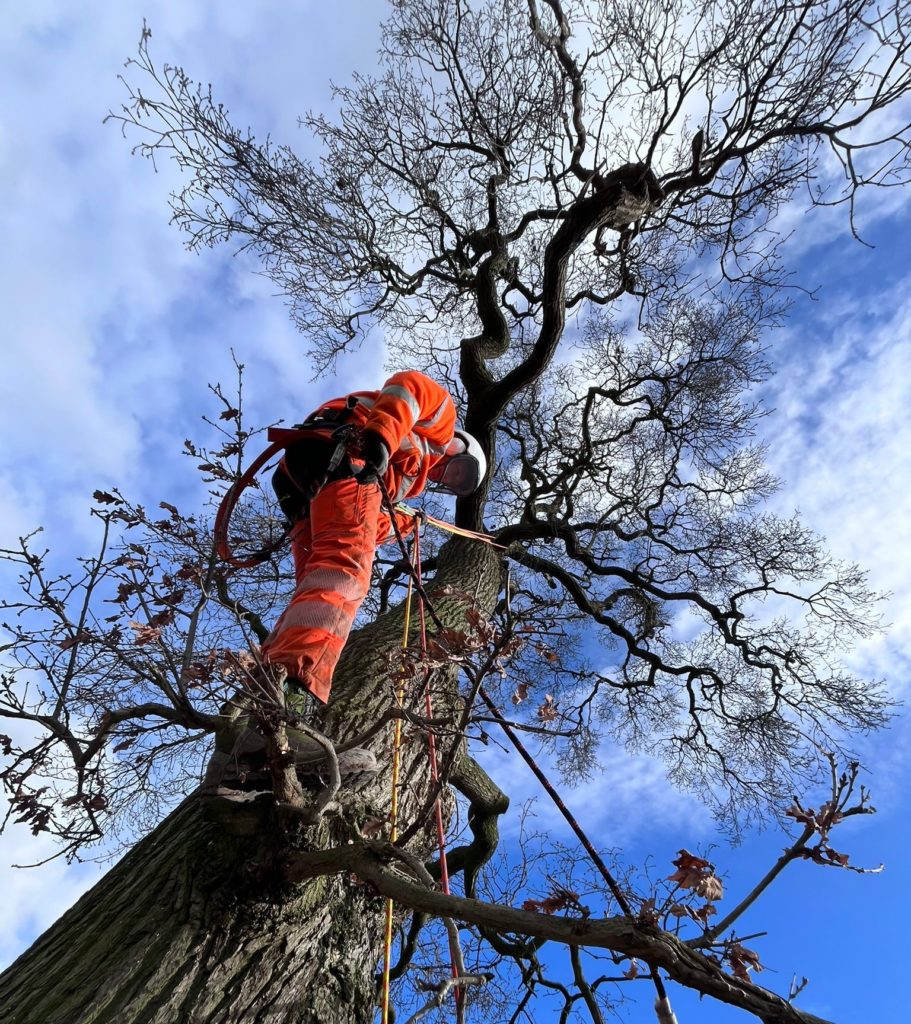 Employee Engagement Co-Ordinator - The Crown Group